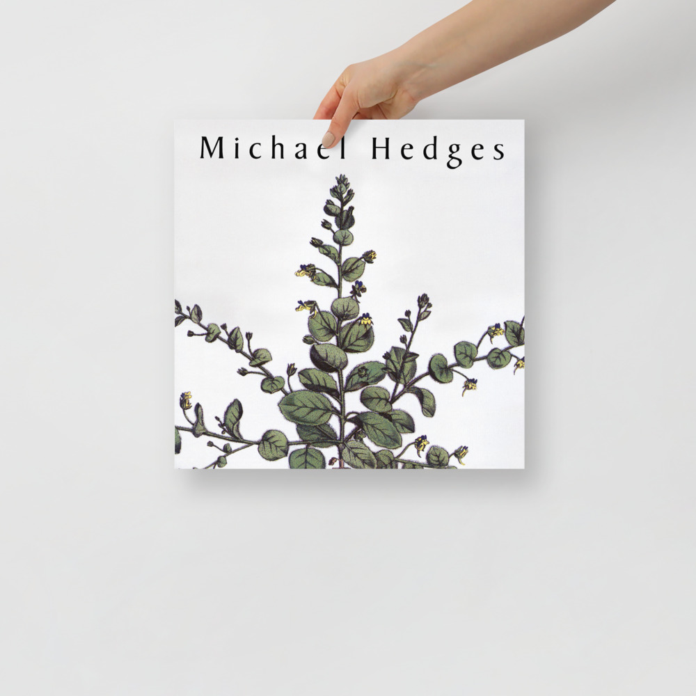 Album Poster - Taproot - MichaelHedges.com