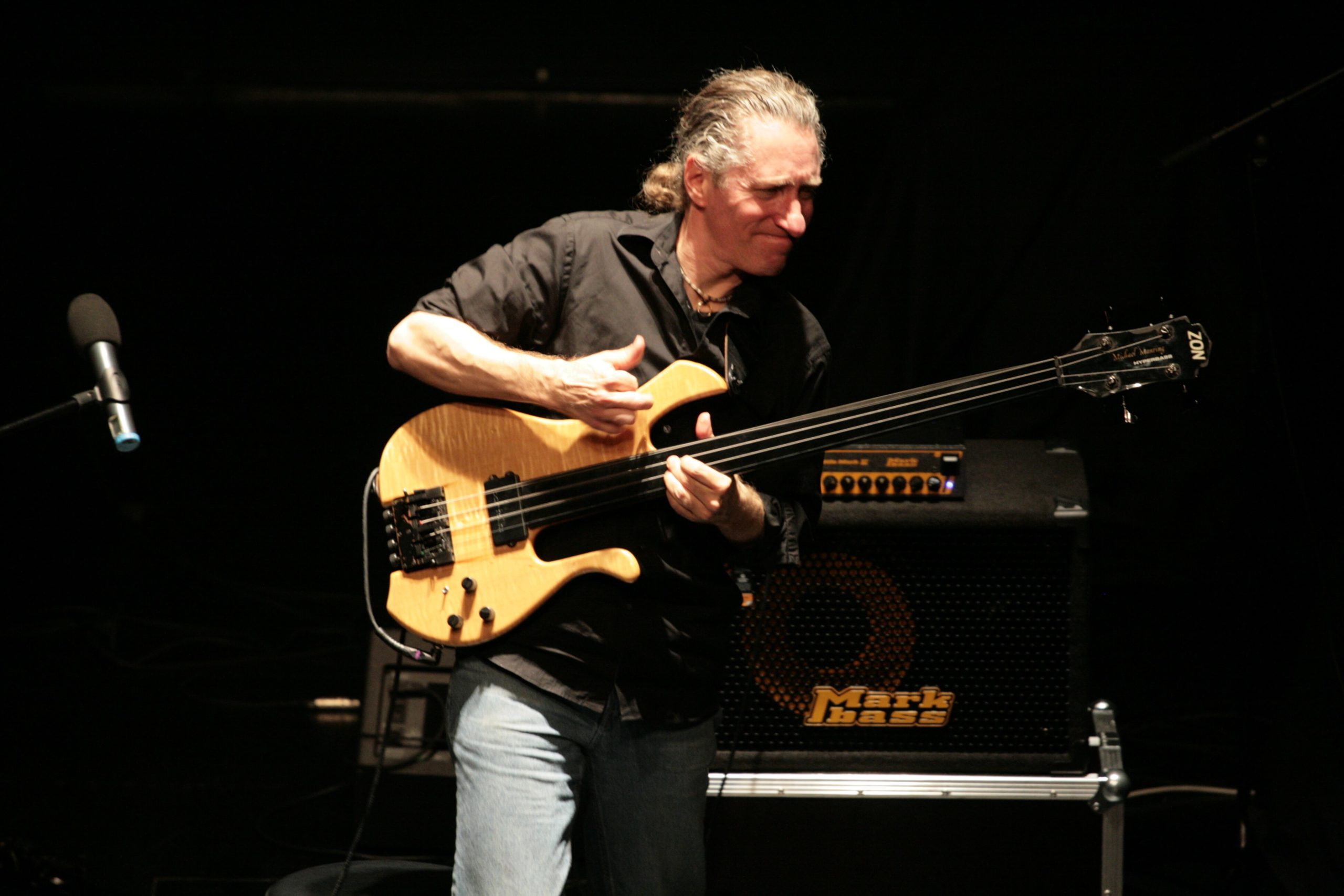 An interview with Michael Manring - 4/15/94 - MichaelHedges.com